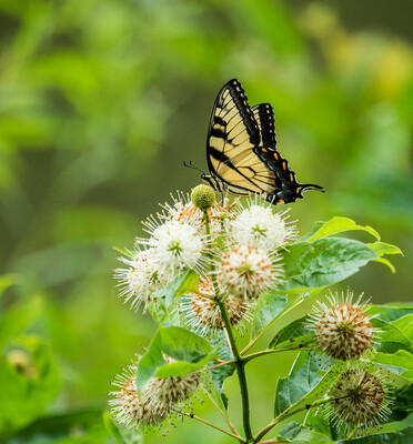 M-NCPPC 2025 Benefits Open Enrollment