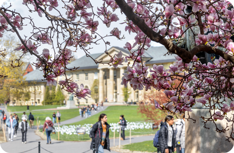 Cornell Virtual Graduate School Fair